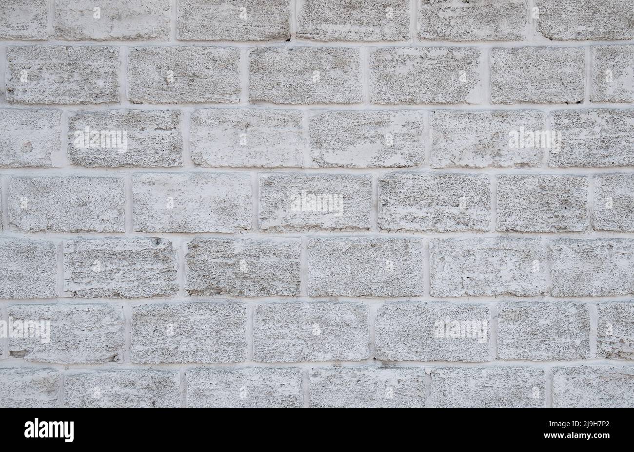 White textured brick wall made of shell rock.Light vintage background ...