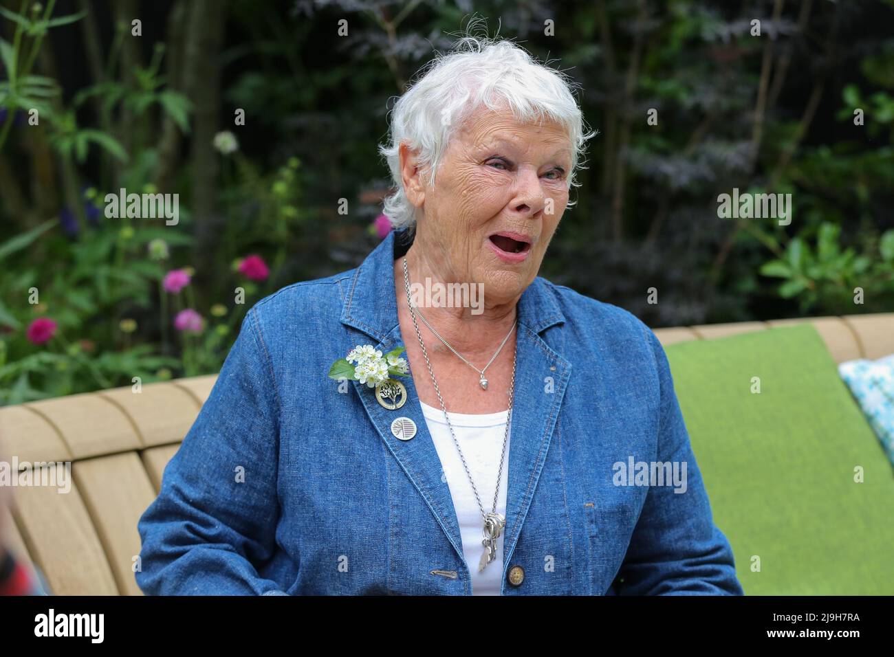 London, UK. 23rd May, 2022. Dame Judith Dench attends the Chelsea ...