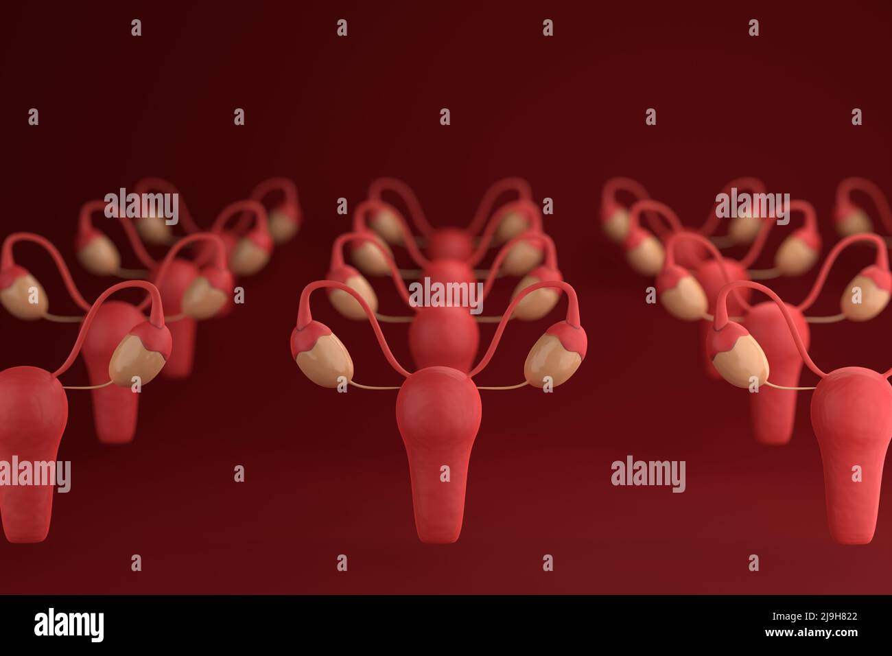 Menopause, women's health concept. Female reproductive organs on a red ...