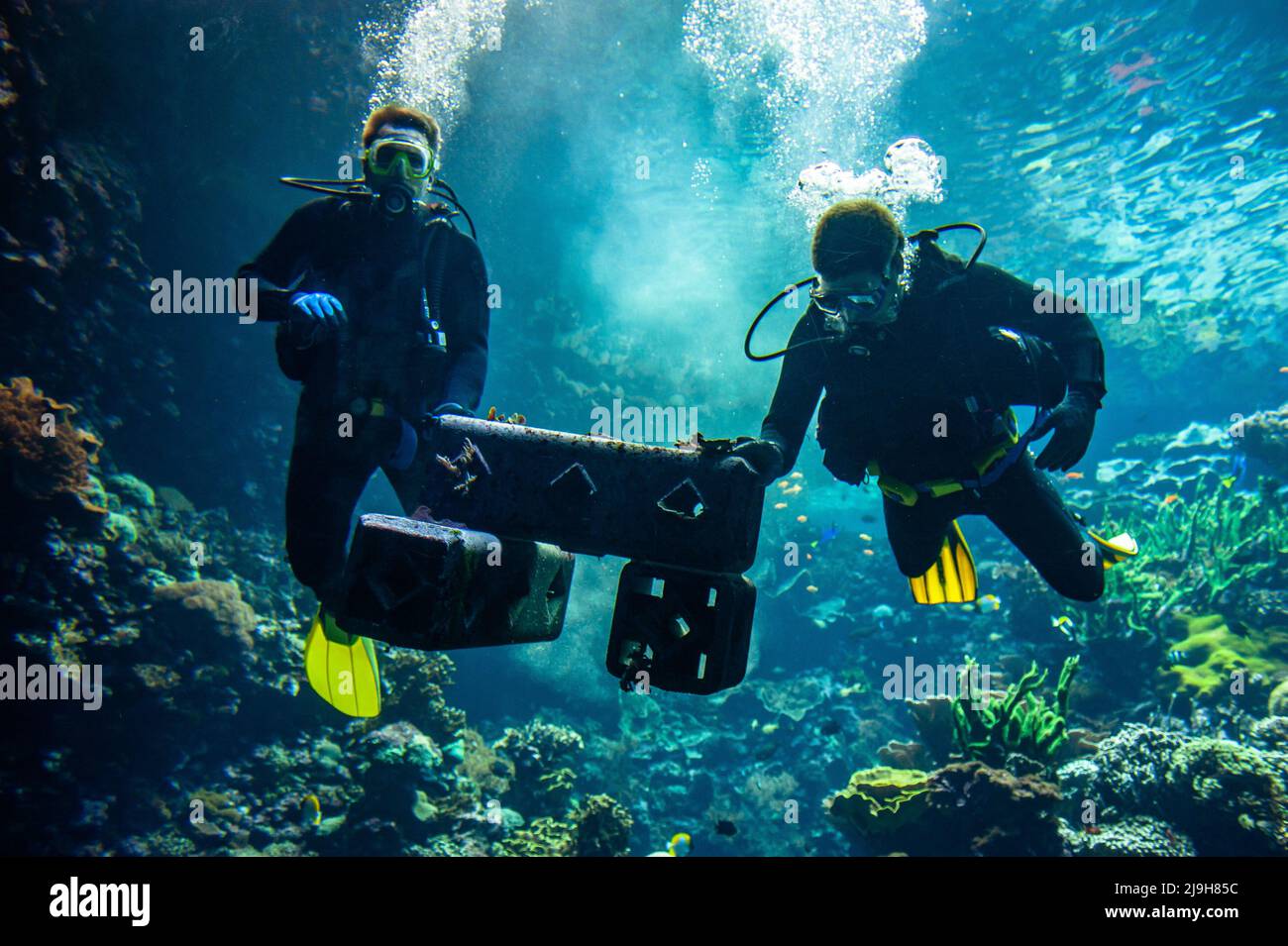 Two divers are seen underwater while holding an artificial reef coral ...