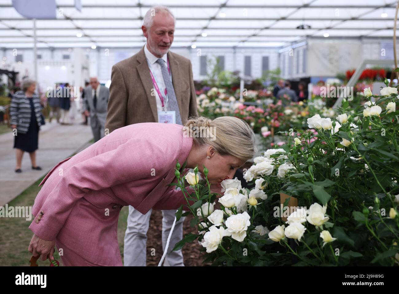 The Countess of Wessex smells a rose on the 'Harkness Roses' stand ...