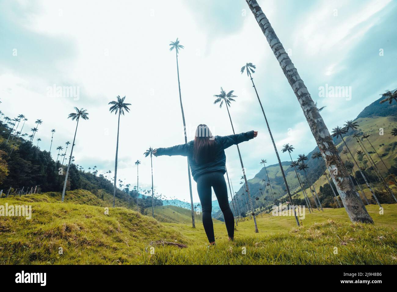 Tourist woman in Cocora Valley in the wax palm trees near Salento ...