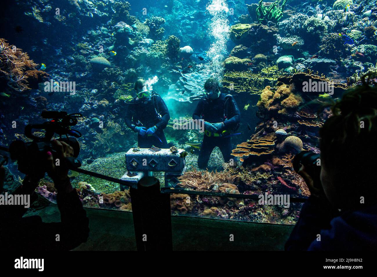 The press takes photos and records the two divers posing with the ...