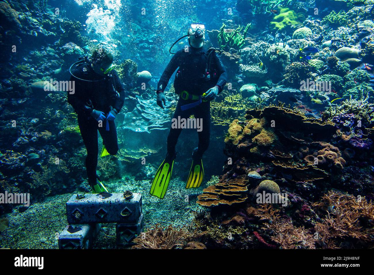 Arnhem, Netherlands - 23 May 2022, Zoo staff are seen working in the ...