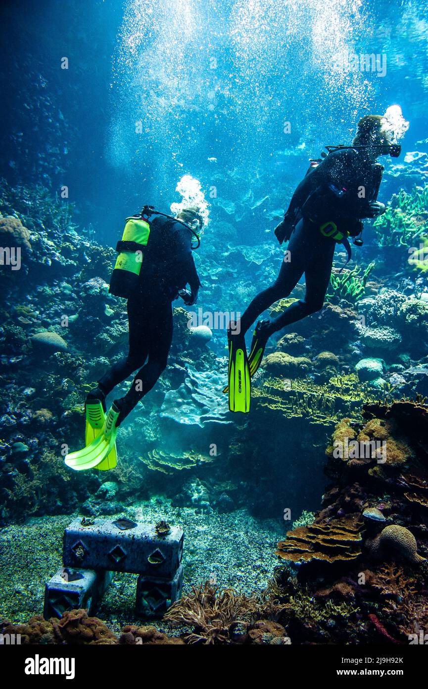 Arnhem, Netherlands - 23 May 2022, Two divers swim away from the place ...
