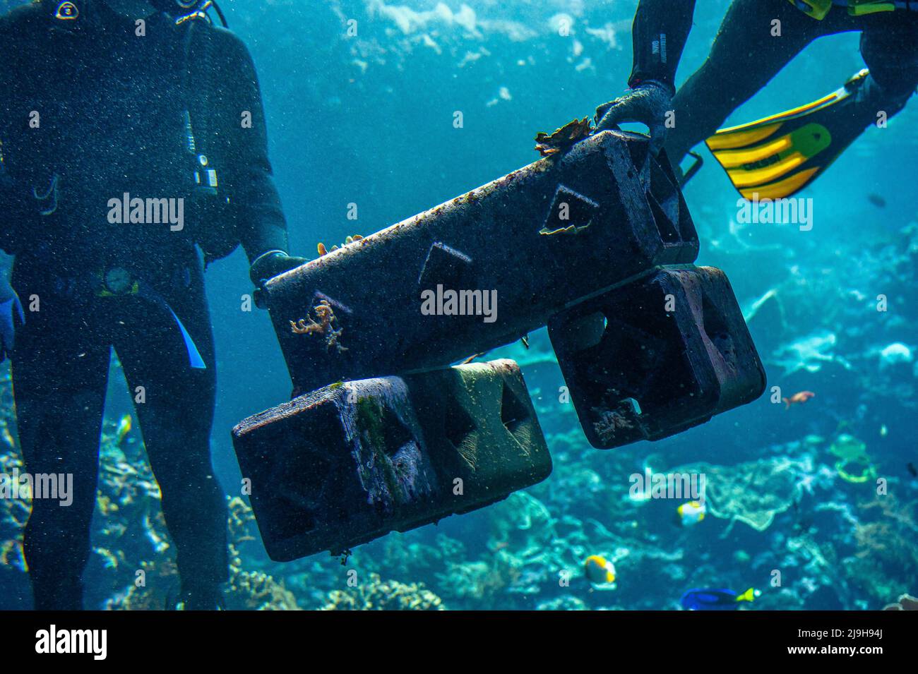 Two divers are seen carrying the artificial coral reef under the water ...