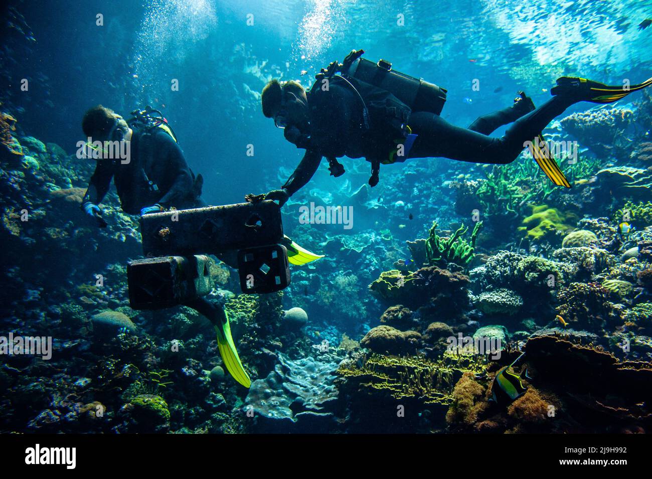 Arnhem, Netherlands - 23 May 2022, Two divers from the zoo are seen ...