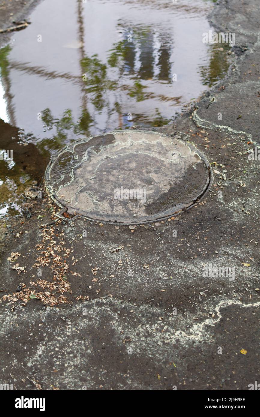 Pollen grains in water hi-res stock photography and images - Alamy