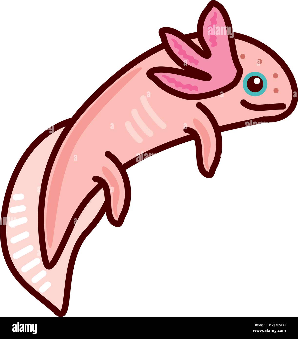 axolotl animal flat icon Stock Vector Image & Art - Alamy