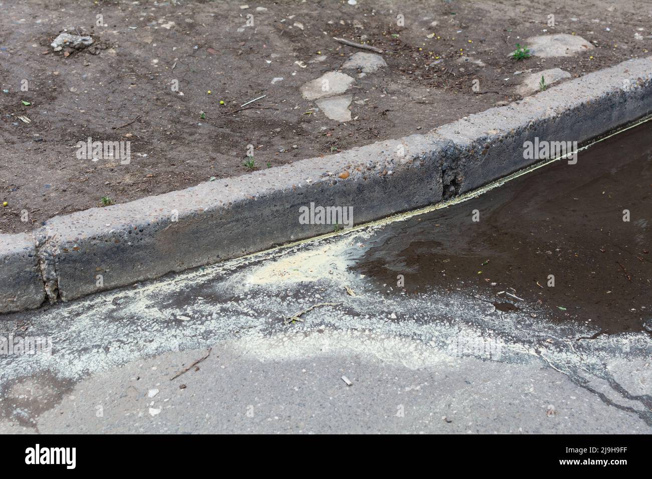 Pollen in a puddle on the ground after rain Stock Photo - Alamy