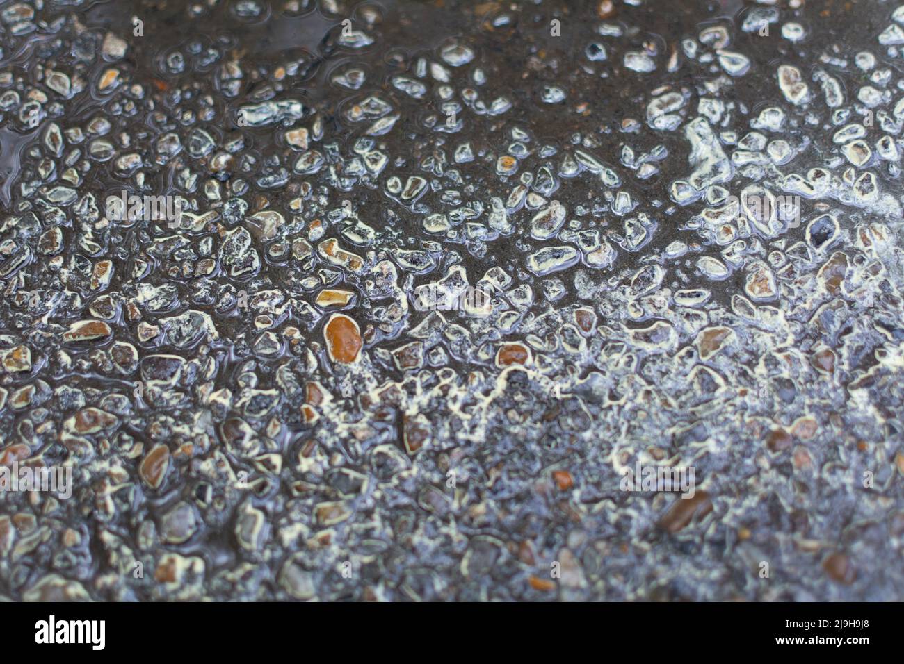 Pollen sediment in a puddle after rain macro photography Stock Photo ...