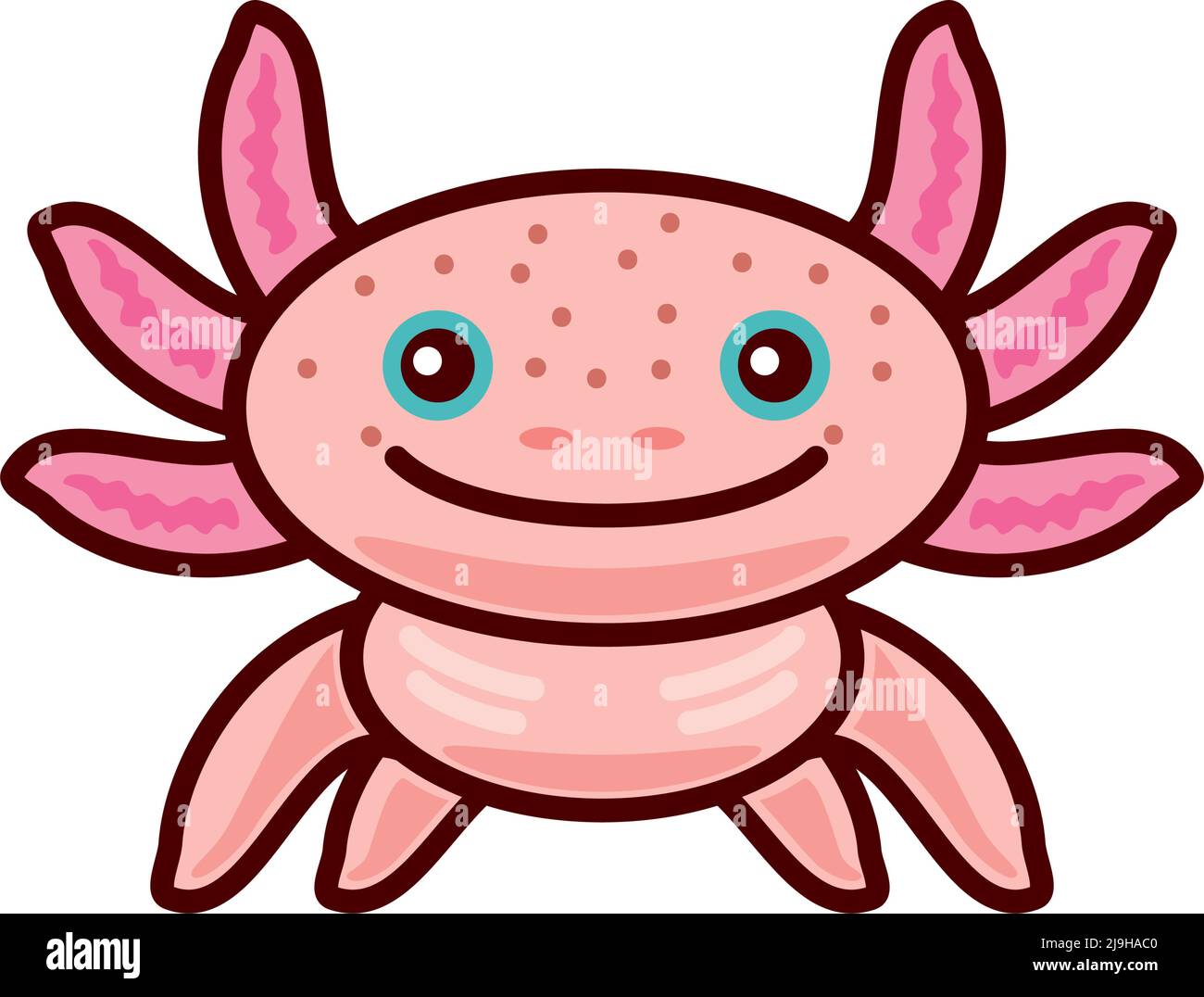cute axolotl front view Stock Vector Image & Art - Alamy
