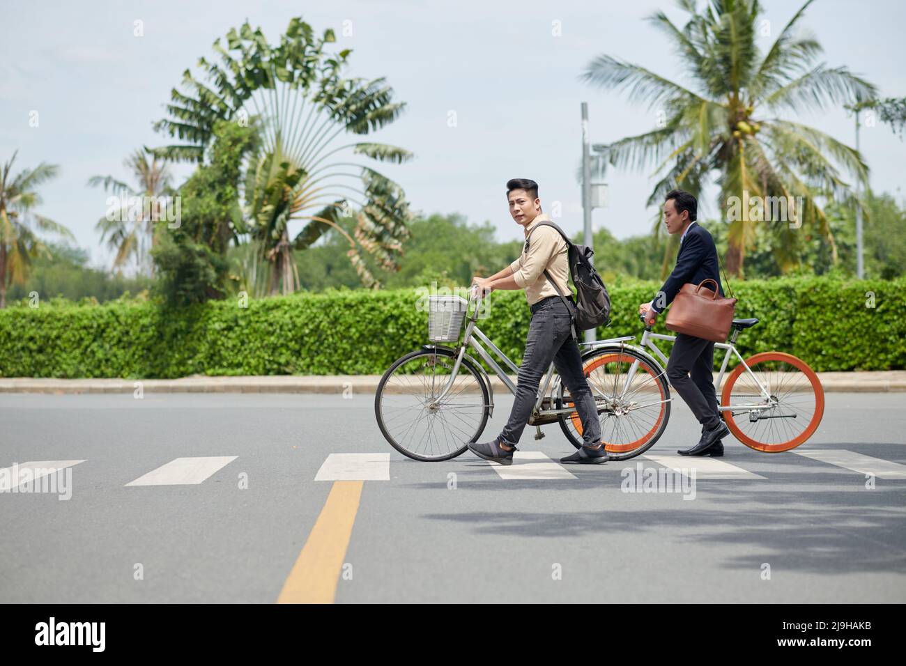Citizens with bicycles crossing road on pedestrian crossing Stock Photo ...