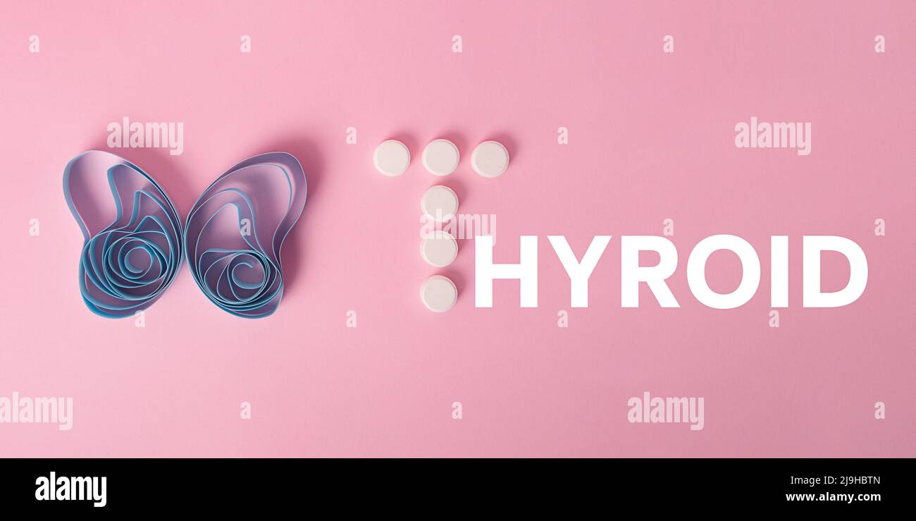 Top view of paper butterfly,concept of thyroid gland.World thyroid day ...