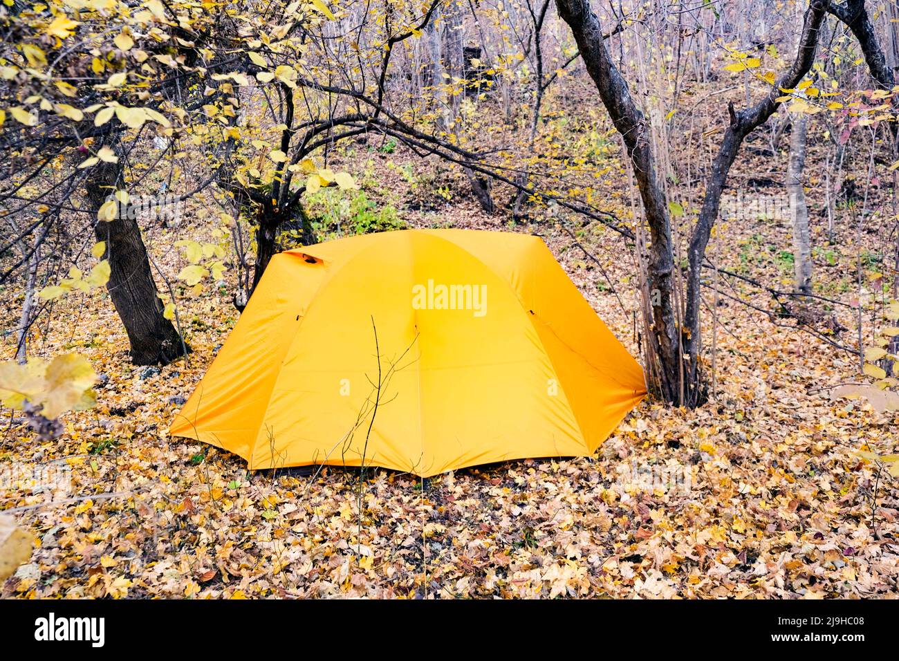 Bright orange tent hi-res stock photography and images - Alamy