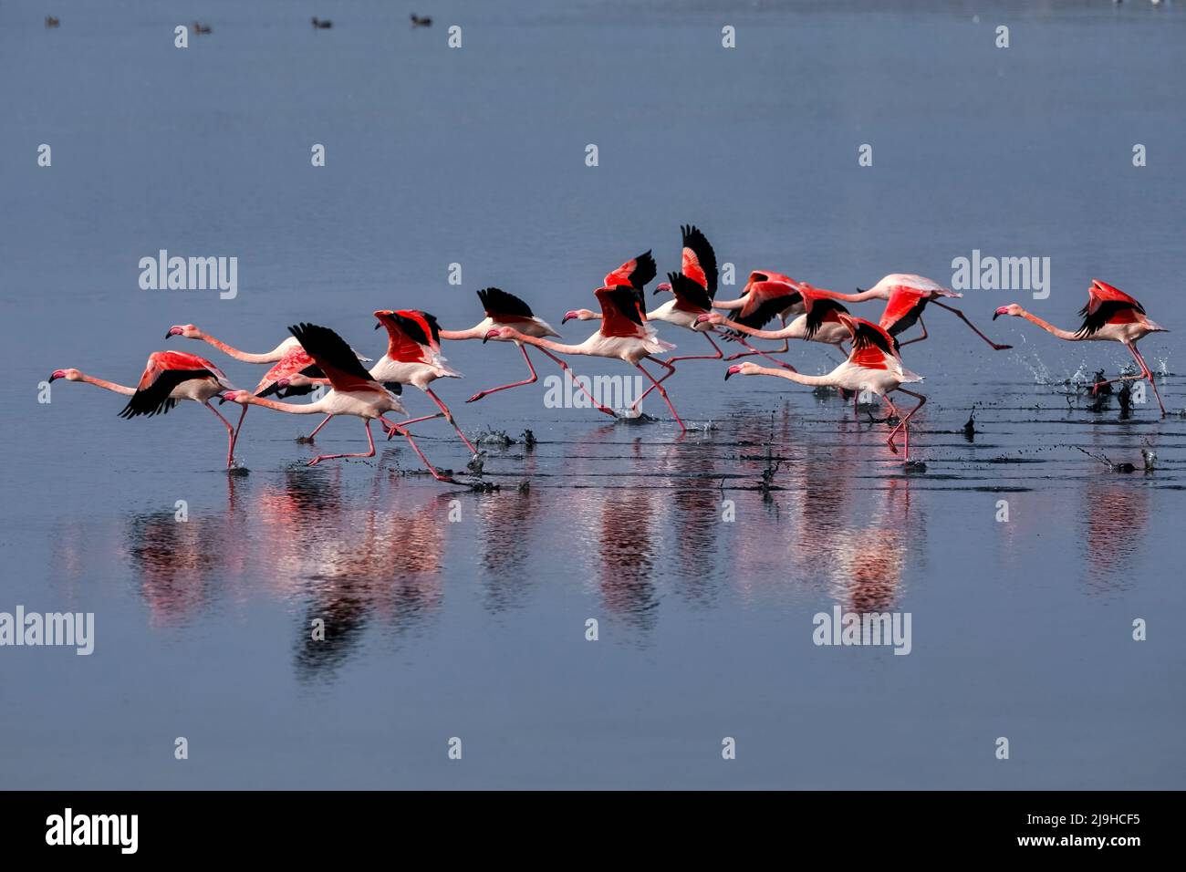 Kalochori lagoon hi-res stock photography and images - Alamy