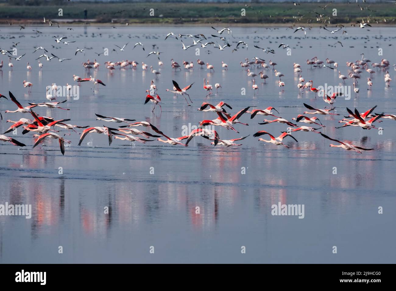 Kalochori lagoon hi-res stock photography and images - Alamy