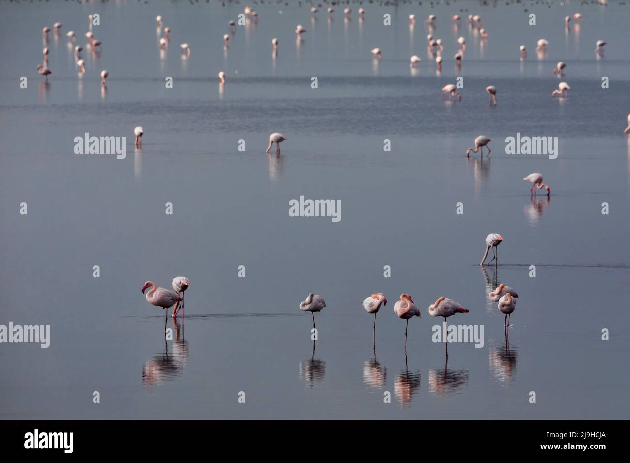 Kalochori lagoon hi-res stock photography and images - Alamy