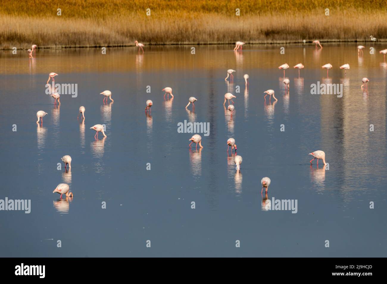 Kalochori lagoon hi-res stock photography and images - Alamy