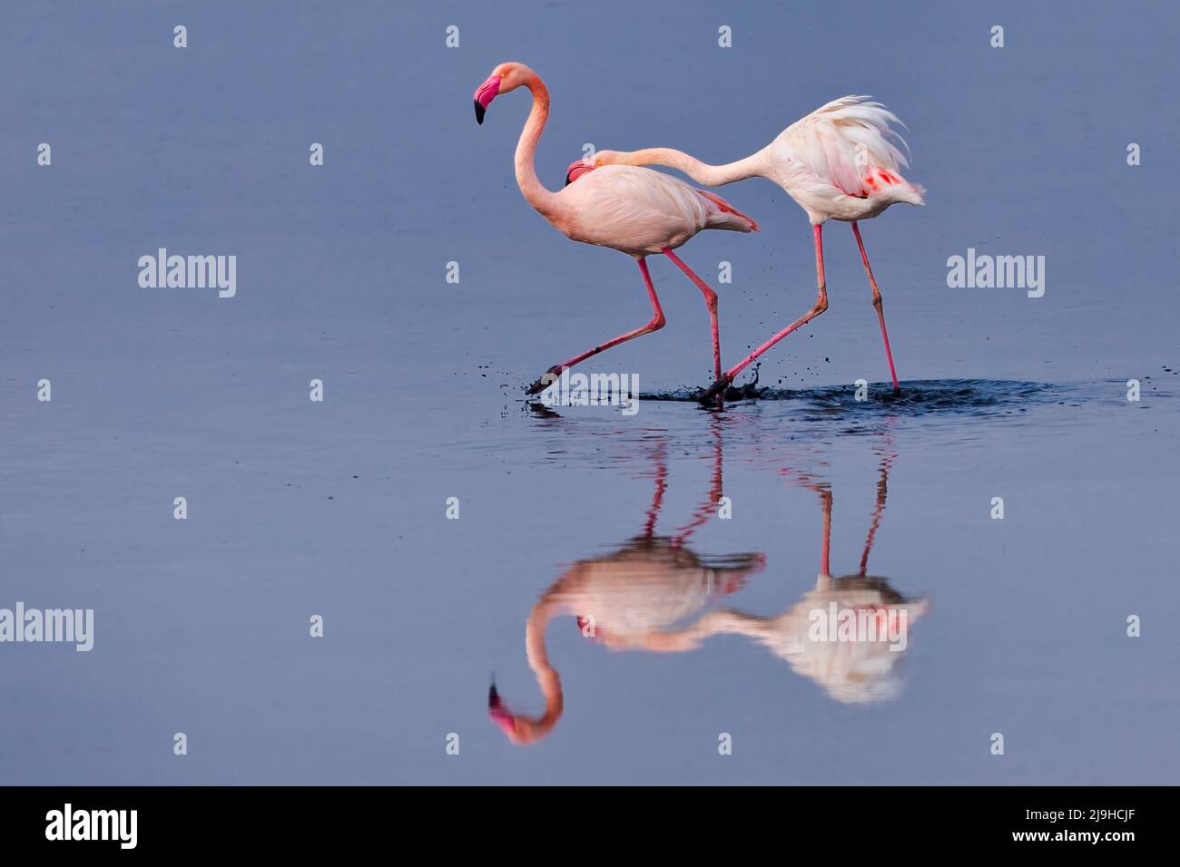 Kalochori lagoon hi-res stock photography and images - Alamy