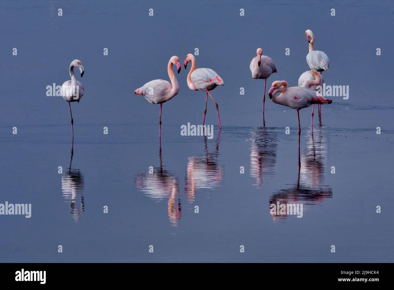 Kalochori lagoon hi-res stock photography and images - Alamy
