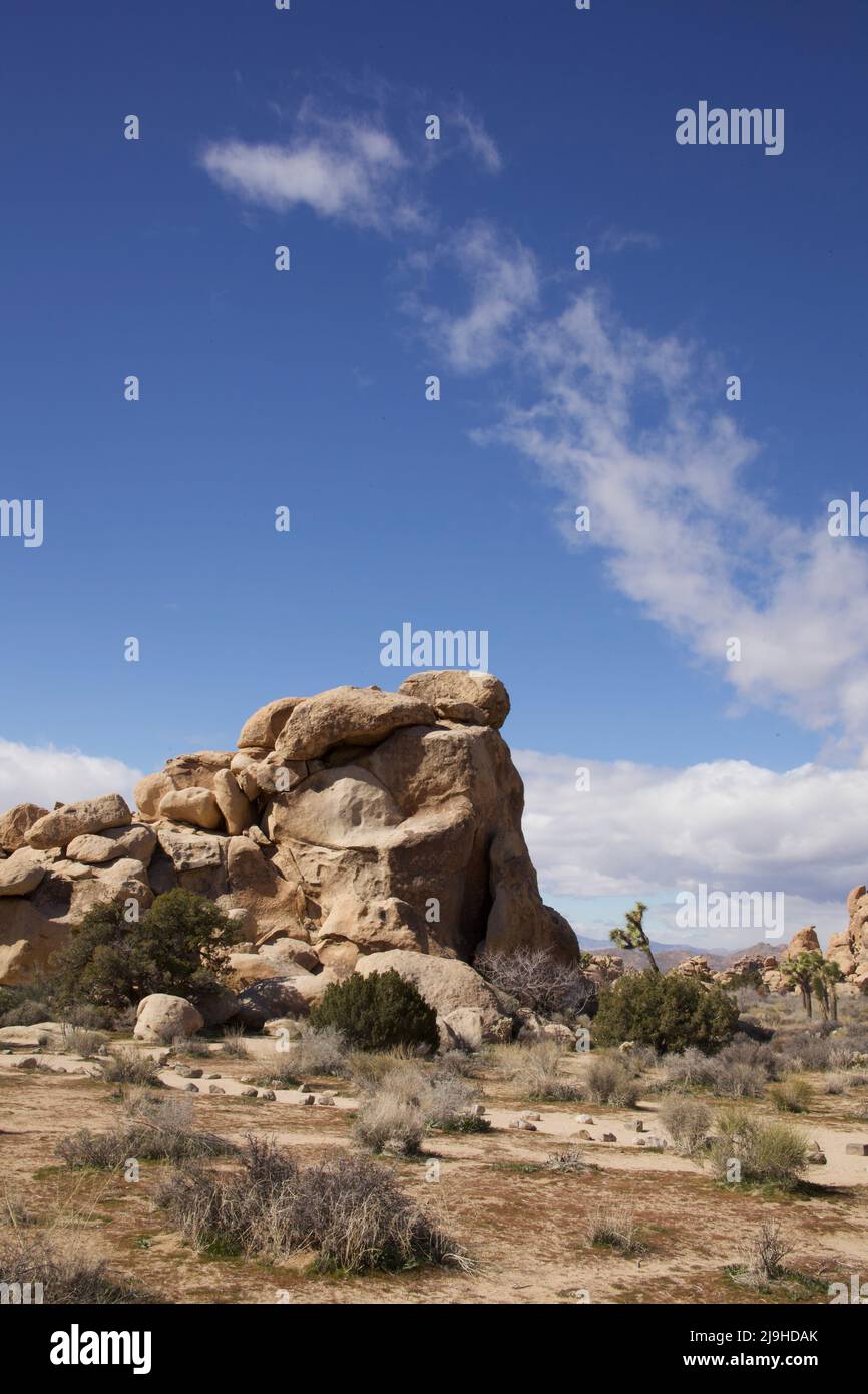 Joshua trees mountain range hi-res stock photography and images - Alamy