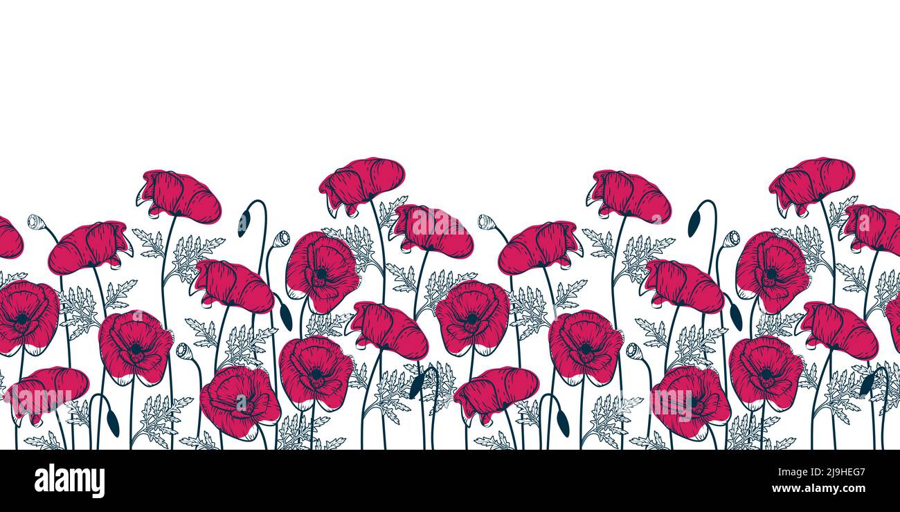 Summer poppy field on Stock Vector Images - Alamy