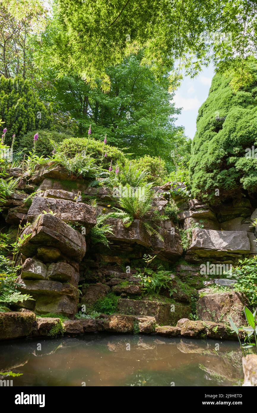 Rock pool garden hi-res stock photography and images - Alamy