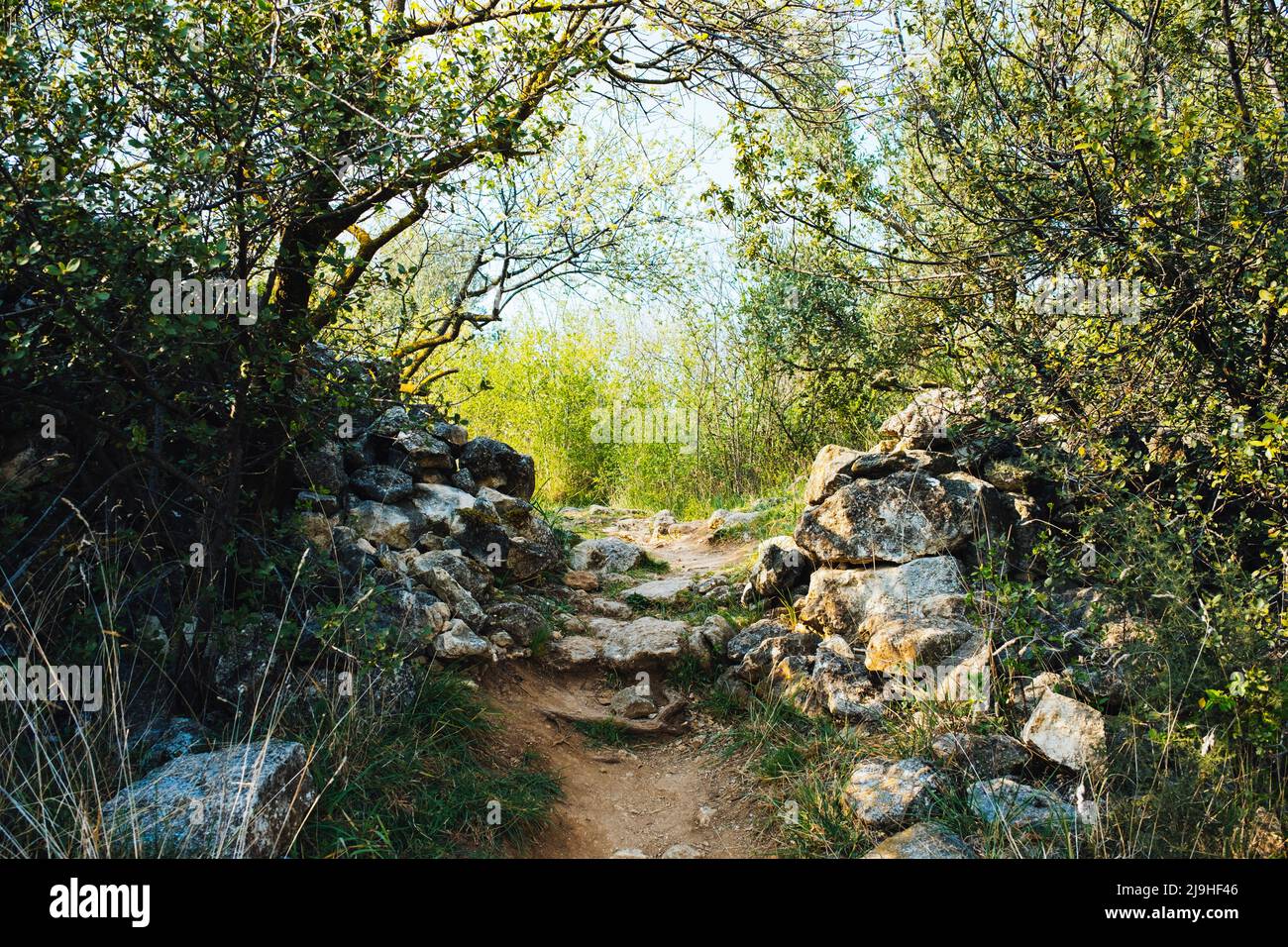 Empty walkway through rocks in nature Stock Photo - Alamy