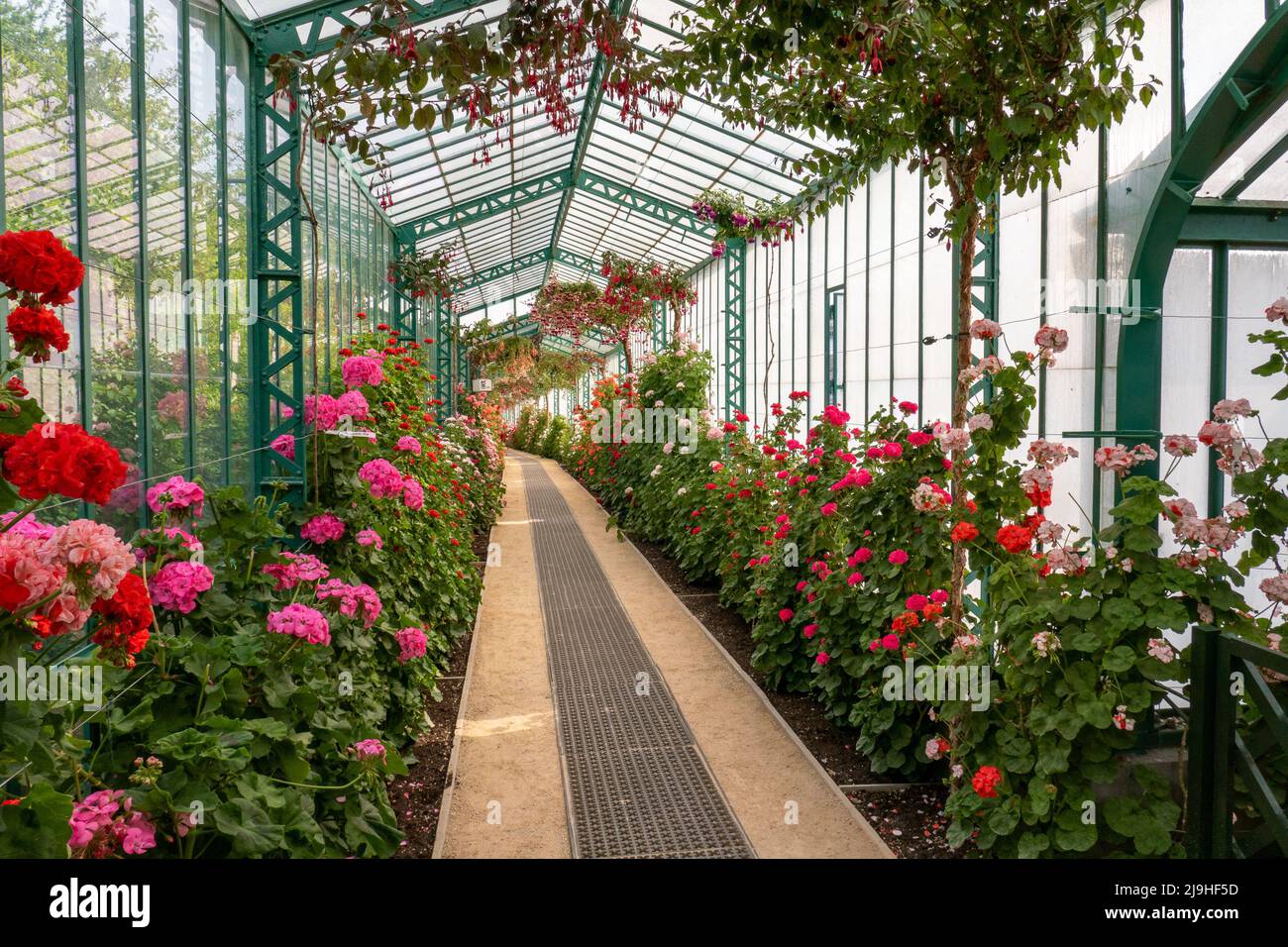 Brussels, Belgium, May 4, 2022. Royal Greenhouses of Laeken, Royal ...