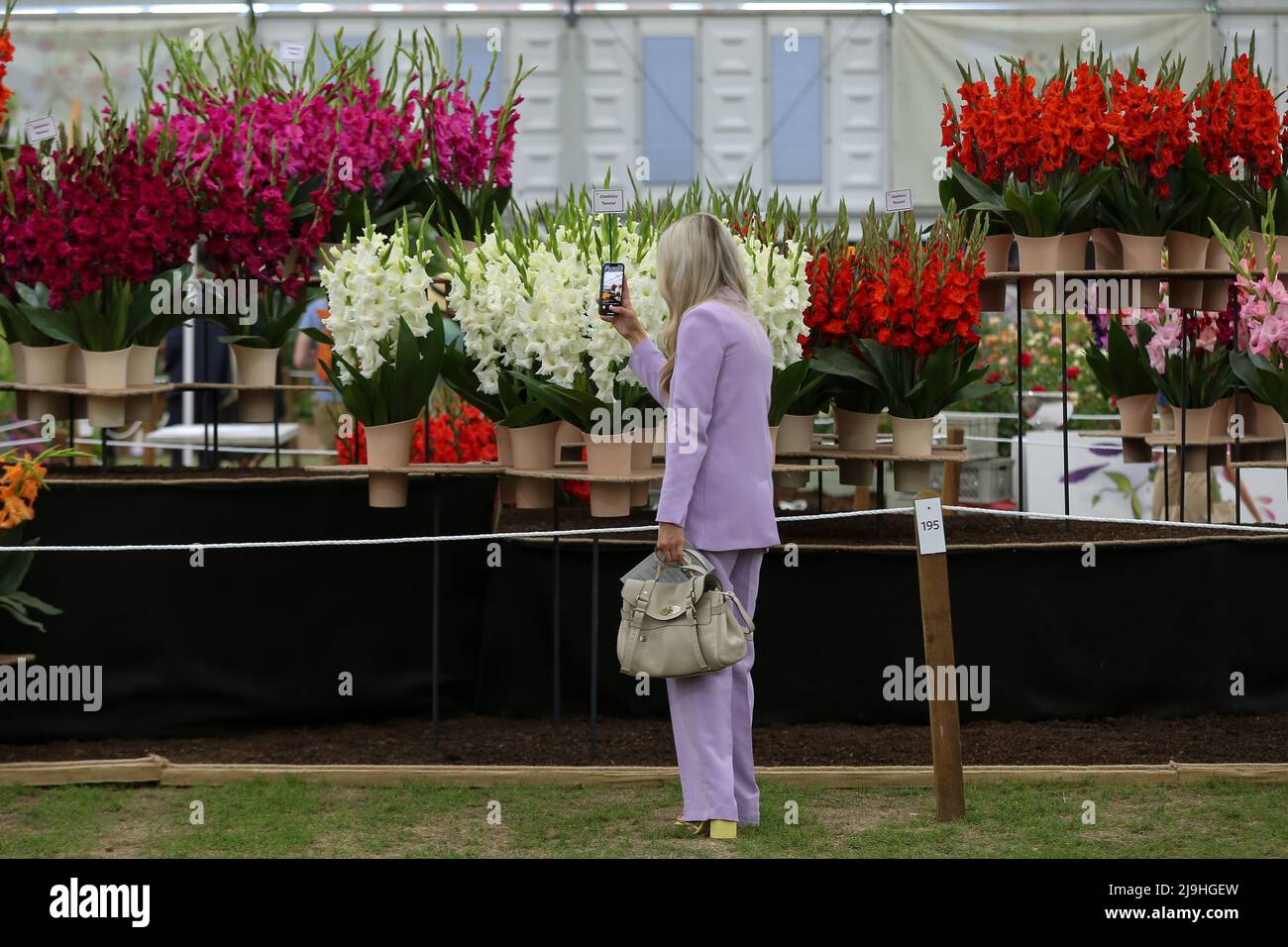 London, UK. 23rd May, 2022. A woman takes photos of the flower display ...
