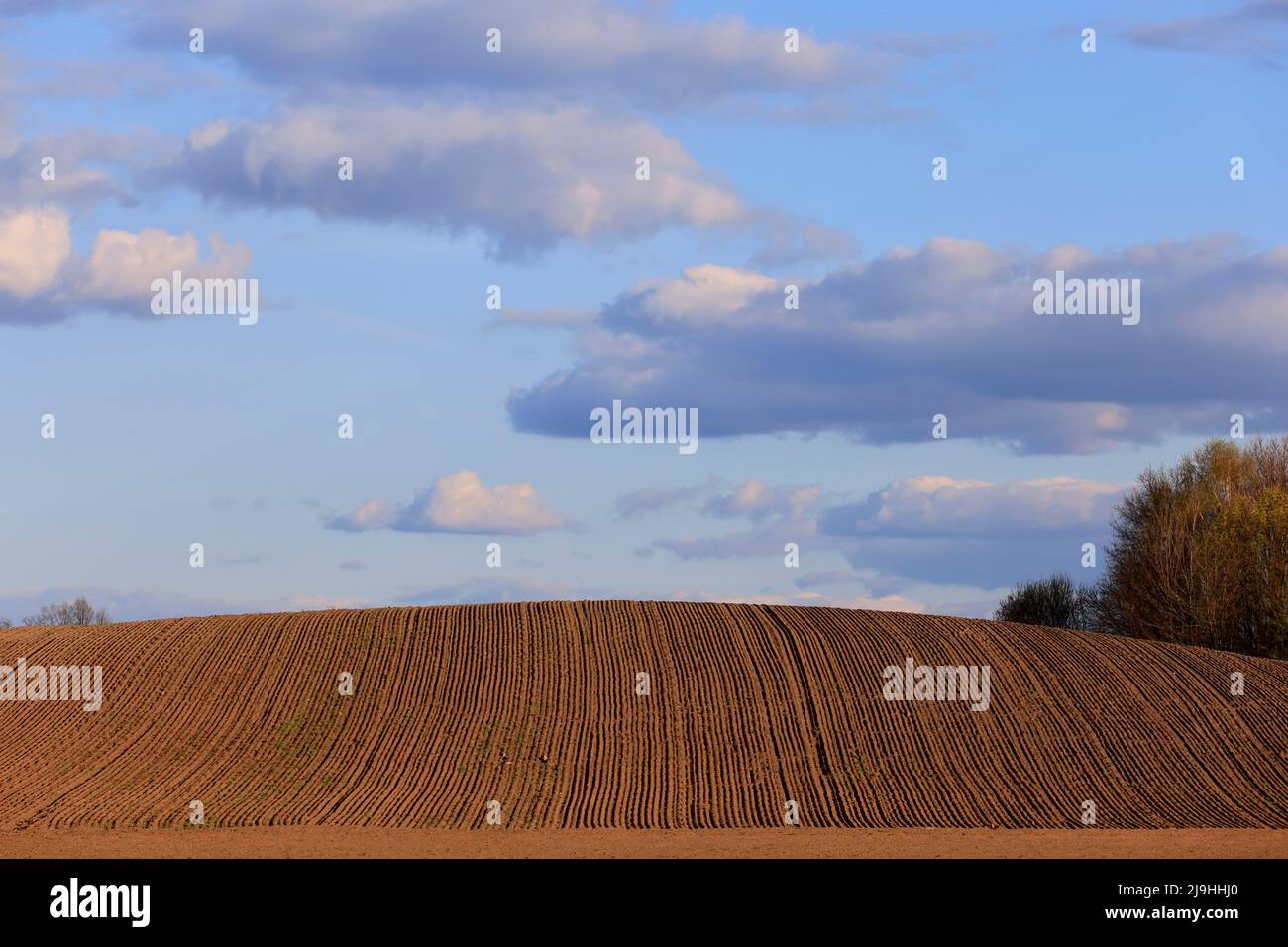Plowed field soil clouds hi-res stock photography and images - Alamy