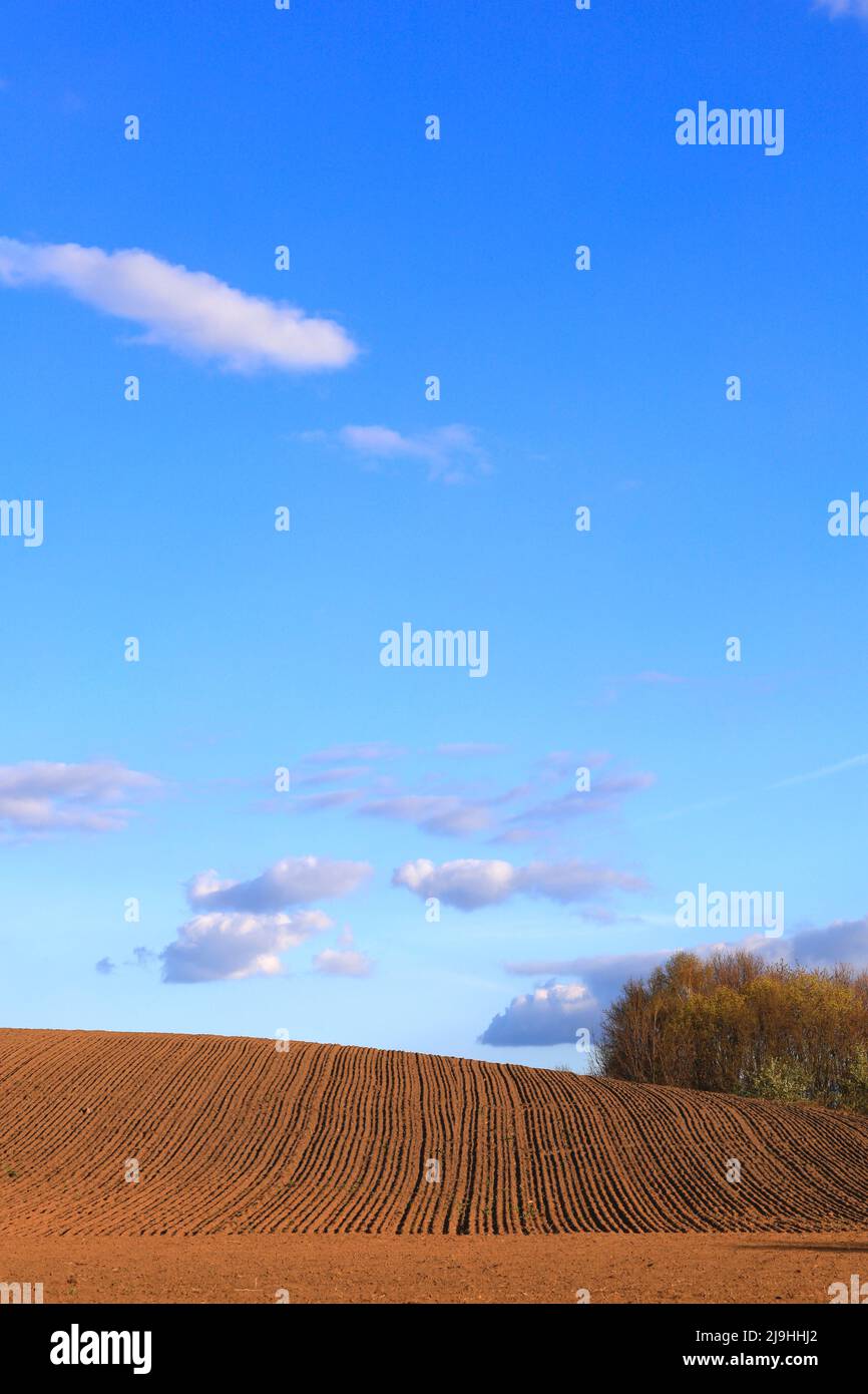 Blue sky field vertical hi-res stock photography and images - Alamy