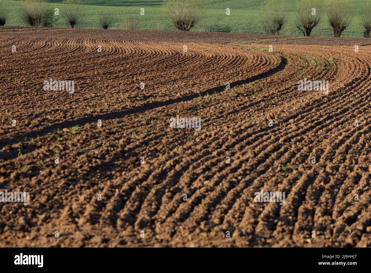 The field and in the spring hi-res stock photography and images - Alamy