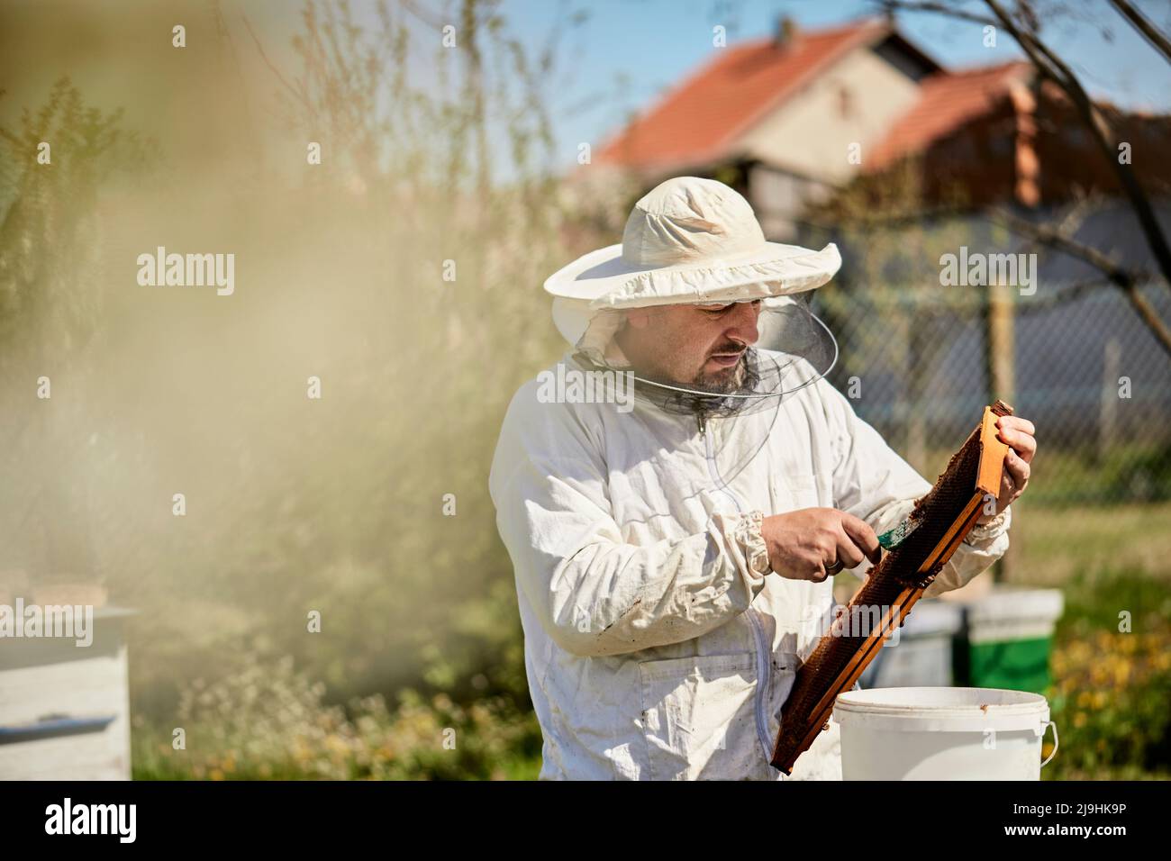 Beekeeper removing beeswax from honeycomb at farm Stock Photo - Alamy