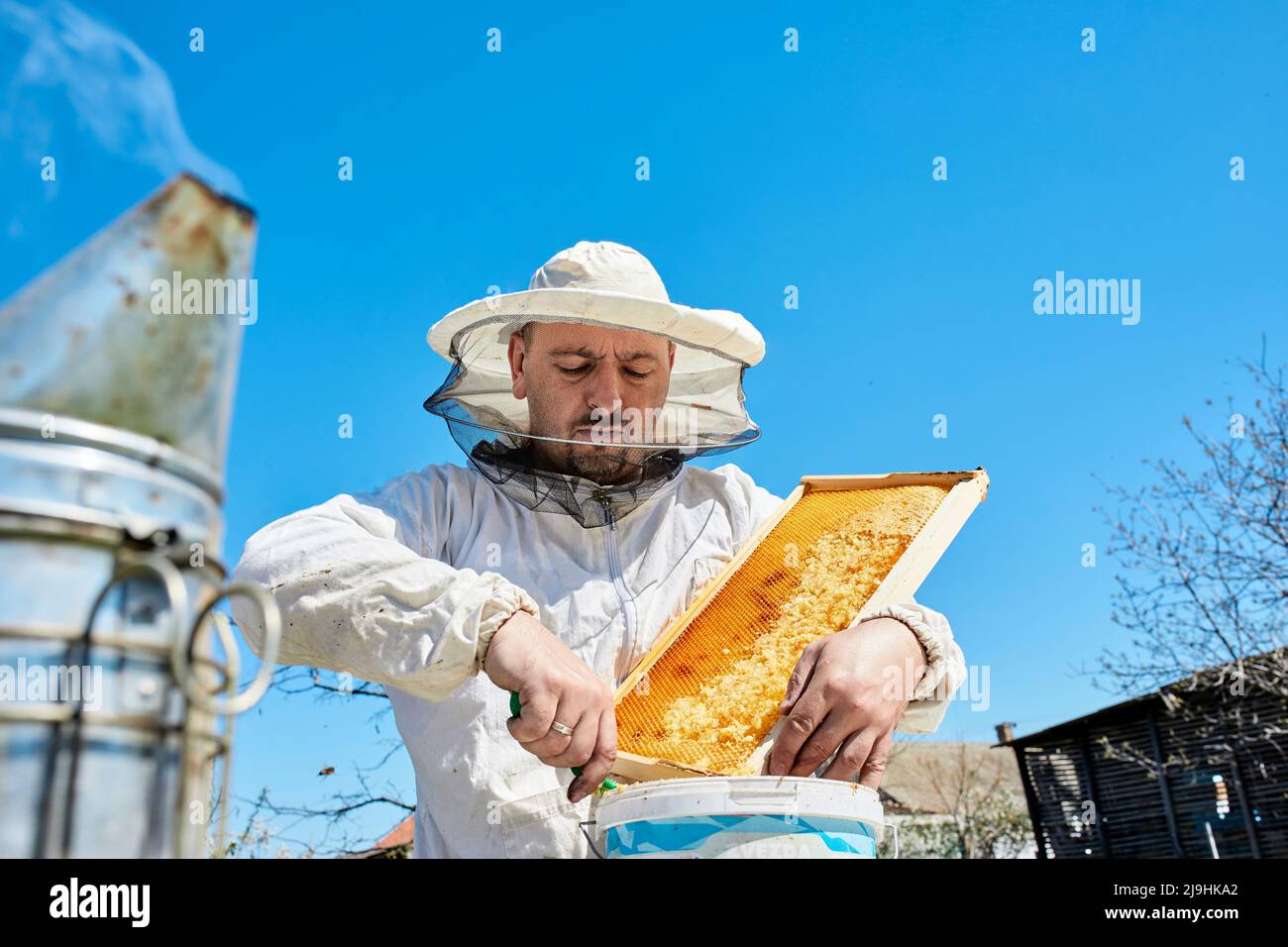 Beekeeper removing beeswax from honeycomb in container Stock Photo - Alamy