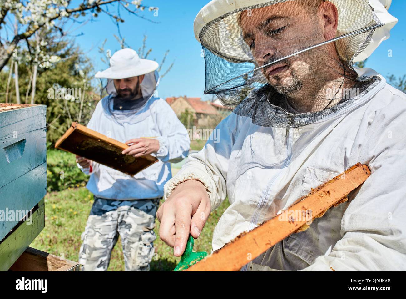 Beekeepers suit hi-res stock photography and images - Alamy