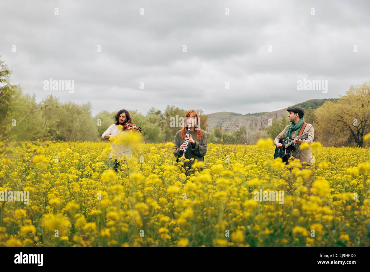 Artists practicing musical instruments in flower field Stock Photo - Alamy
