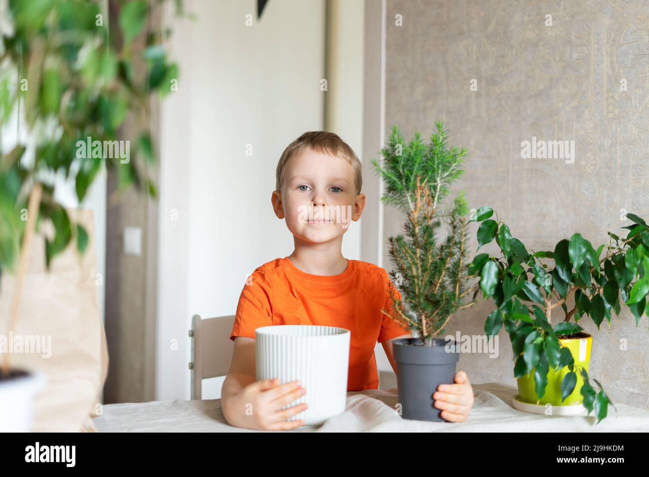 Boy with pot hi-res stock photography and images - Alamy