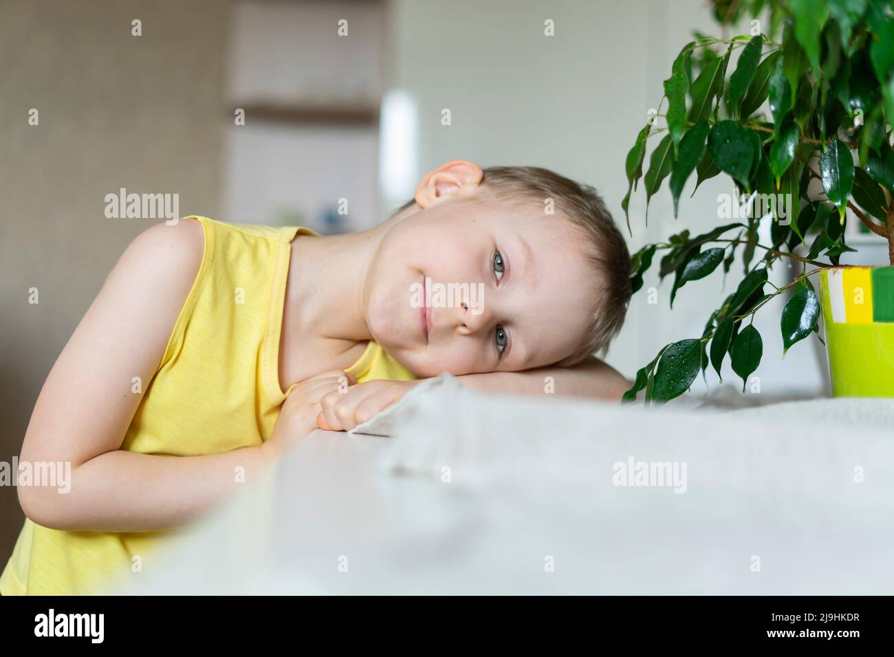 Smiling boy leaning head on table at home Stock Photo - Alamy