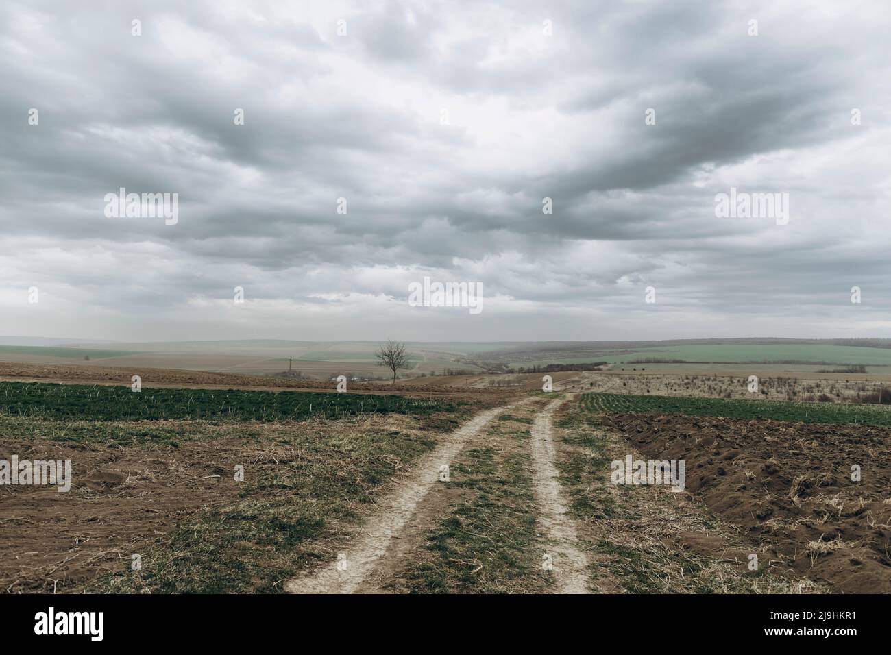 Agricultural field under cloudy sky Stock Photo - Alamy