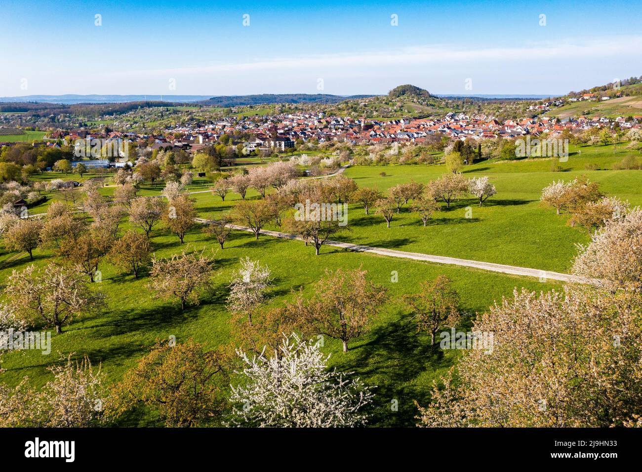 Germany, Baden-Wurttemberg, Neidlingen, Aerial view of blossoming fruit ...