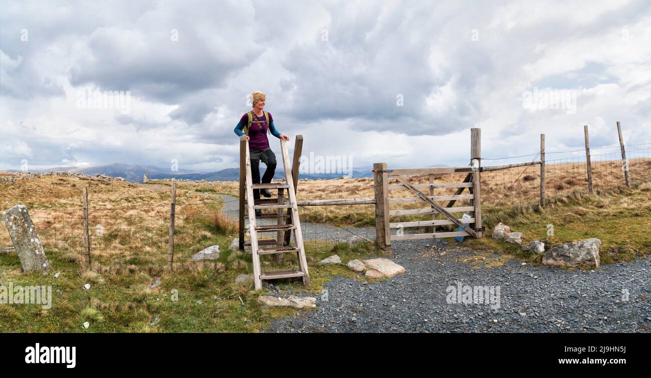 Fence on ladder hi-res stock photography and images - Alamy