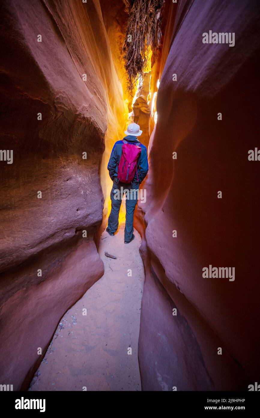 Slot canyon in Grand Staircase Escalante National park, Utah, USA ...