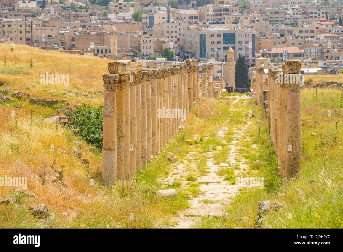 The South Decumanus, colonnade towards the intersection of the Cardo ...