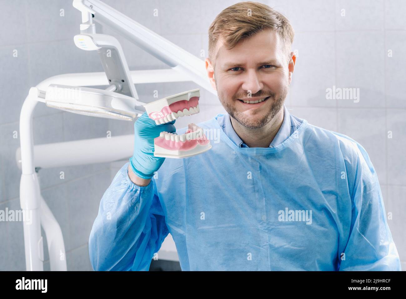 A model of a human jaw with teeth and a toothbrush in the dentist's ...
