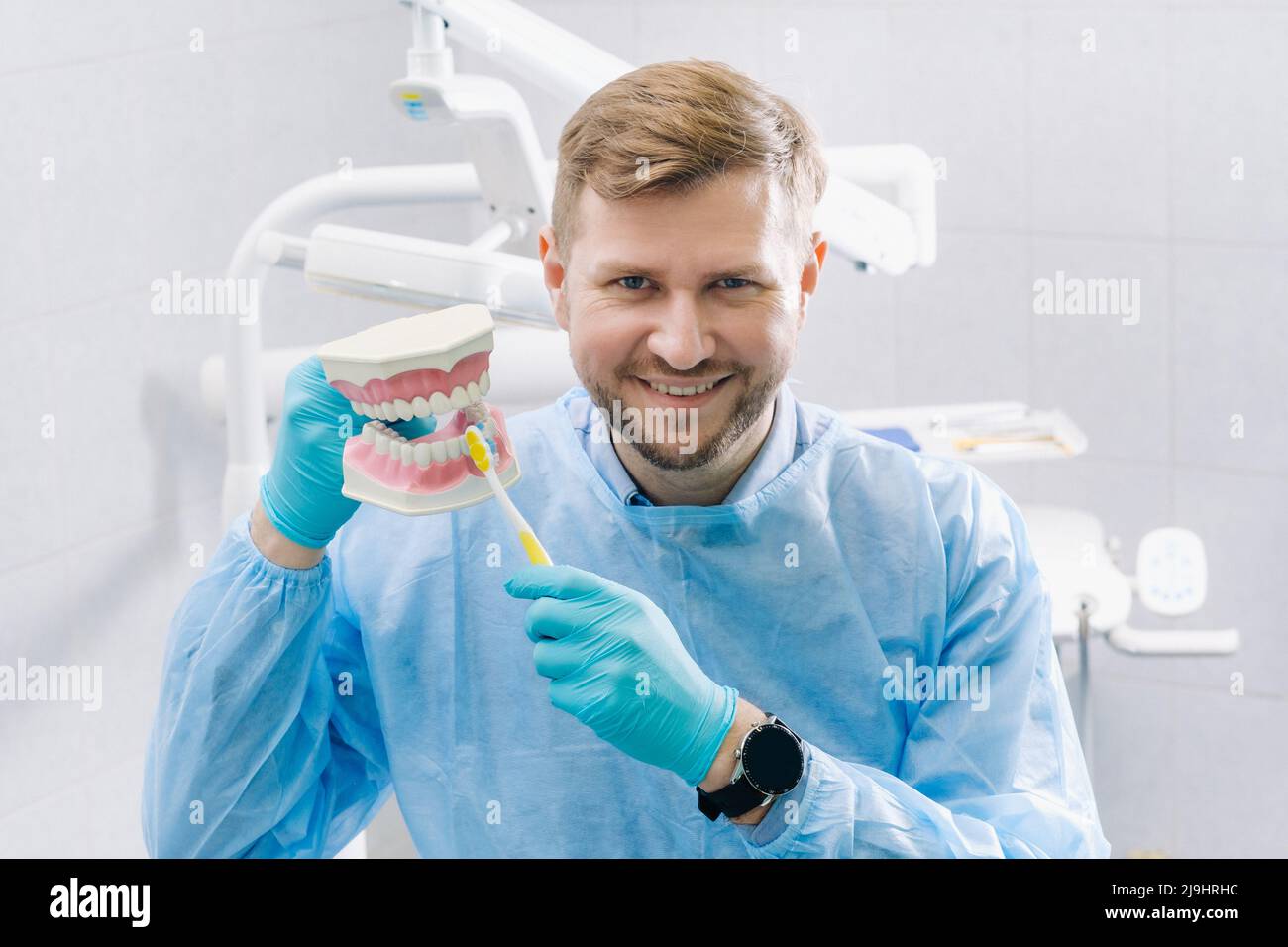 A model of a human jaw with teeth and a toothbrush in the dentist's ...