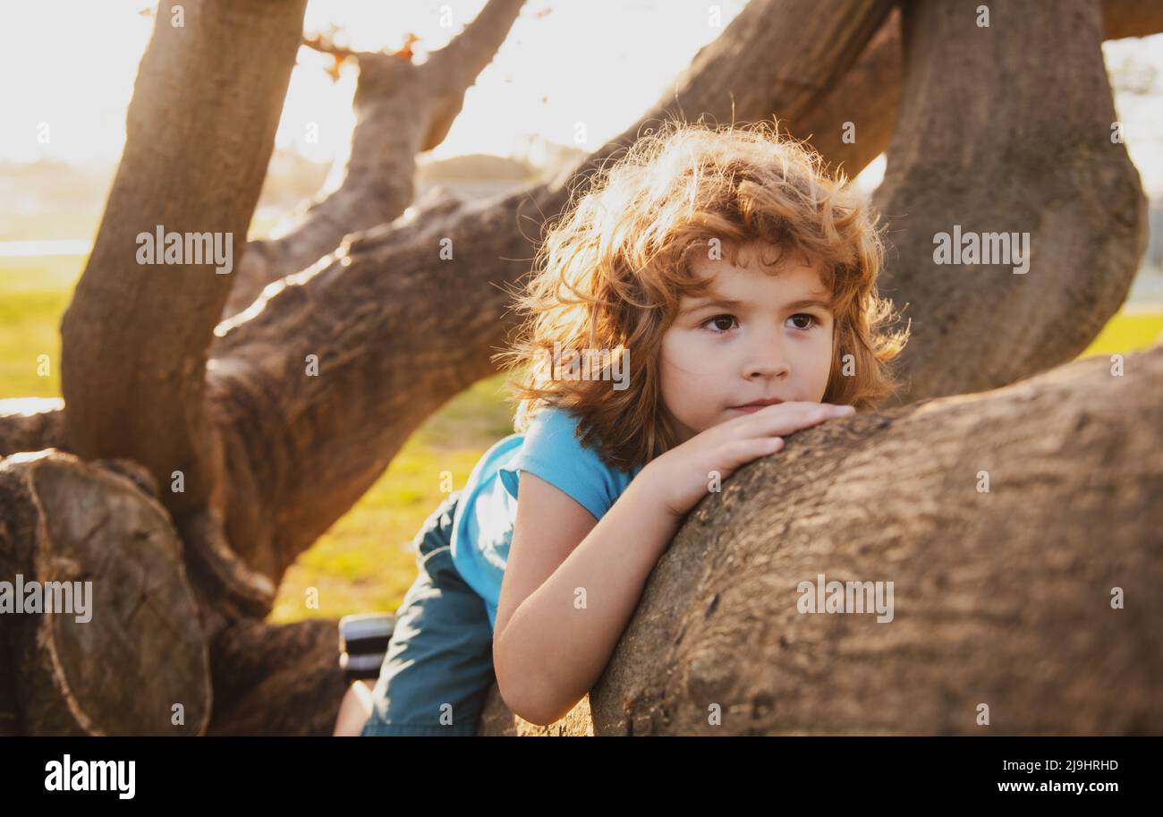 Cute caucasian kid boy happily lying in a tree hugging a big branch ...