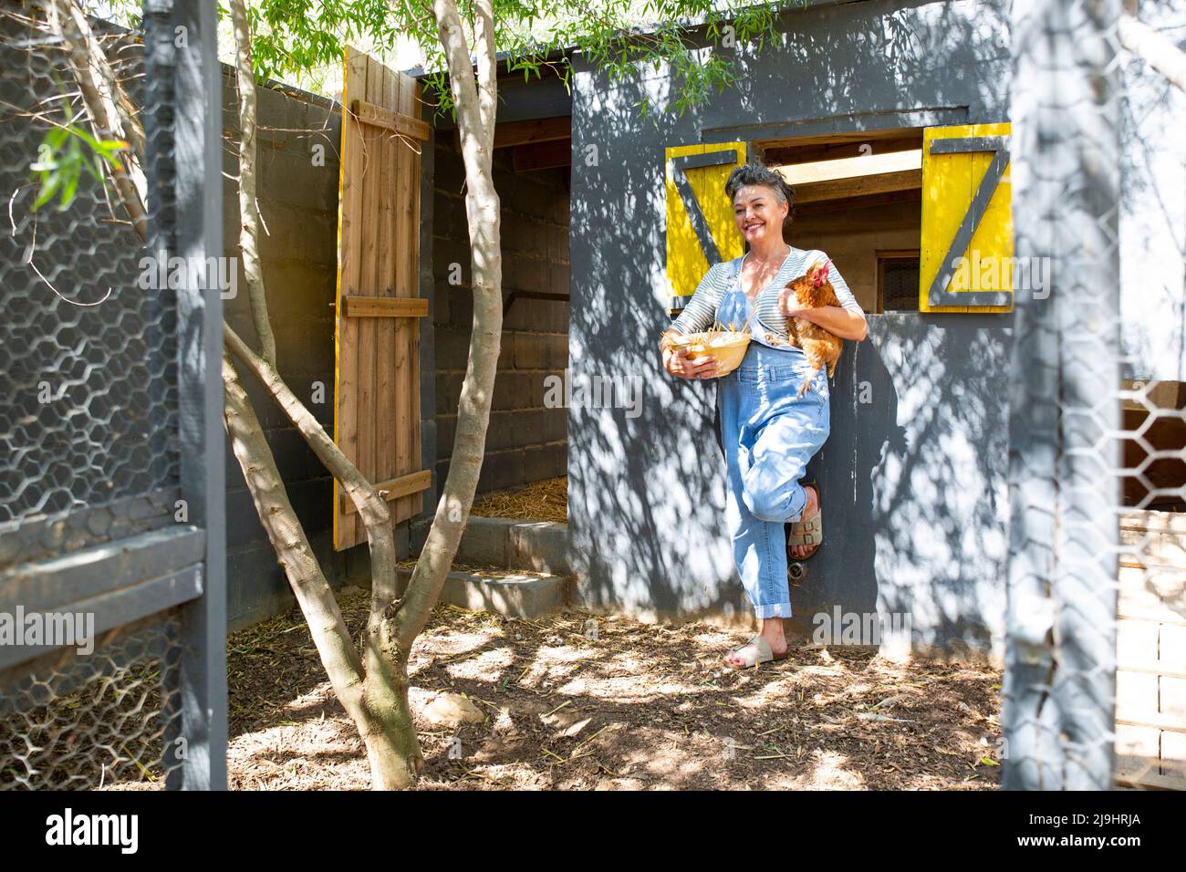 Happy mature farm owner holding hen and egg's bowl leaning on chicken ...