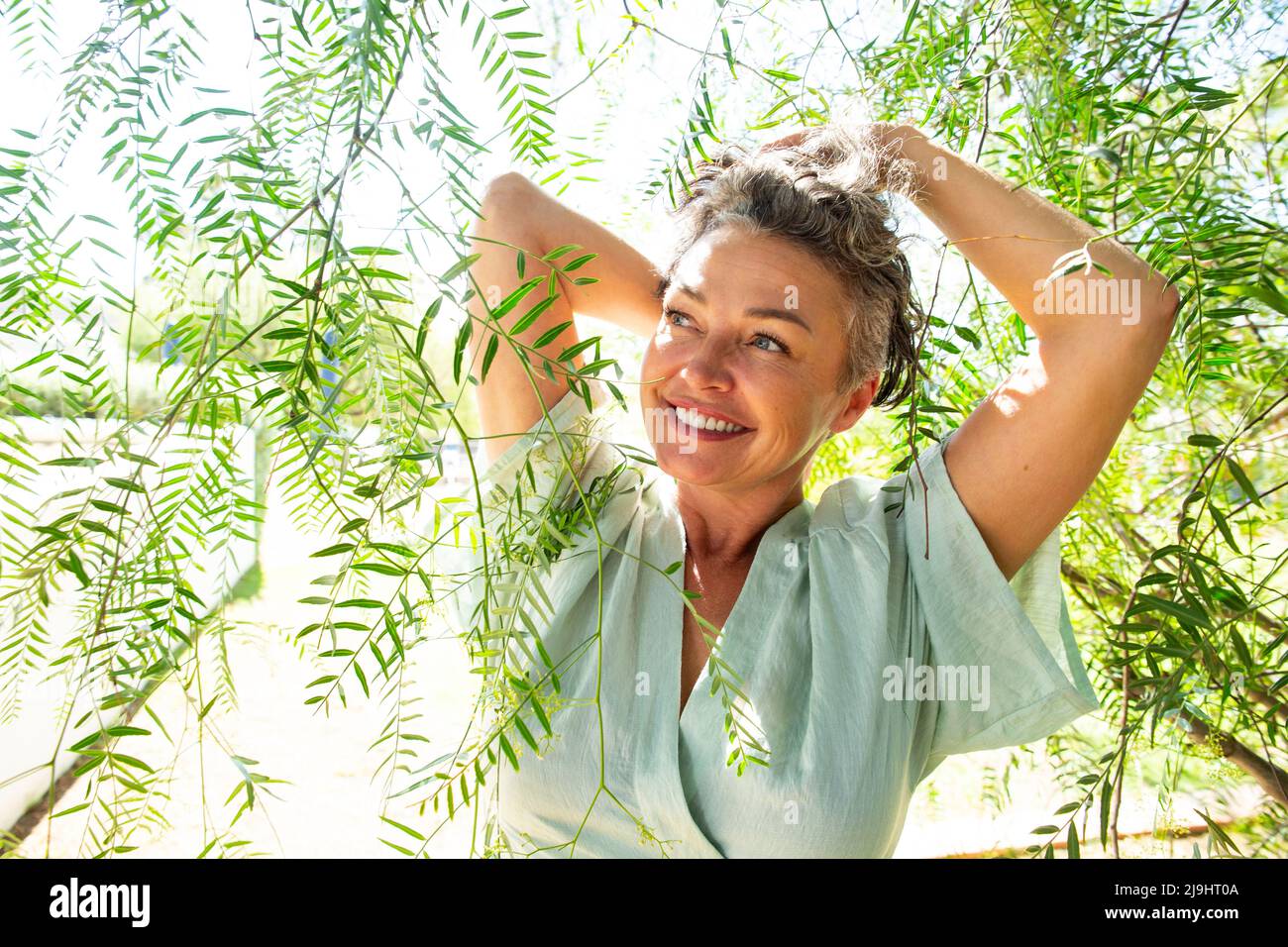 Sunny twigs hi-res stock photography and images - Alamy